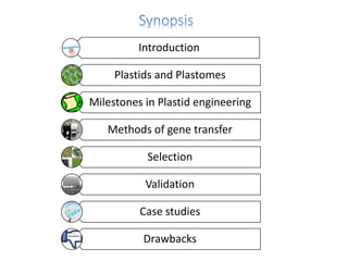 Transplastomics in Vegetable Crops.pptx