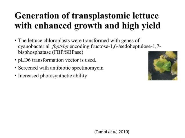Transplastomics in Vegetable Crops.pptx | Gardening | Home & Garden