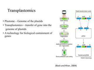 Transplastomics in Vegetable Crops.pptx