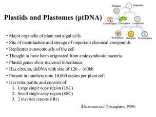 Transplastomics in Vegetable Crops.pptx