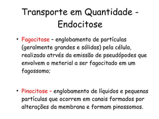 Membrana e Transportes | PPT