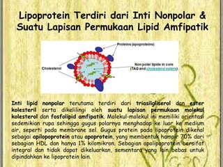 Transpor lipid | PPTX