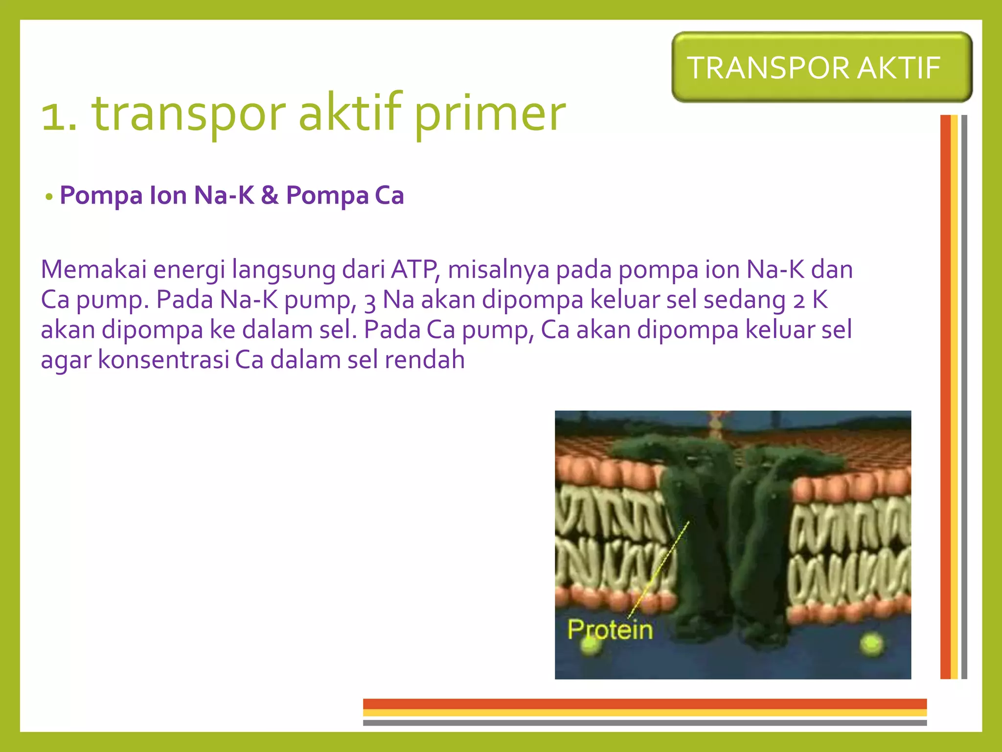 Transpor membran sel | PPTX
