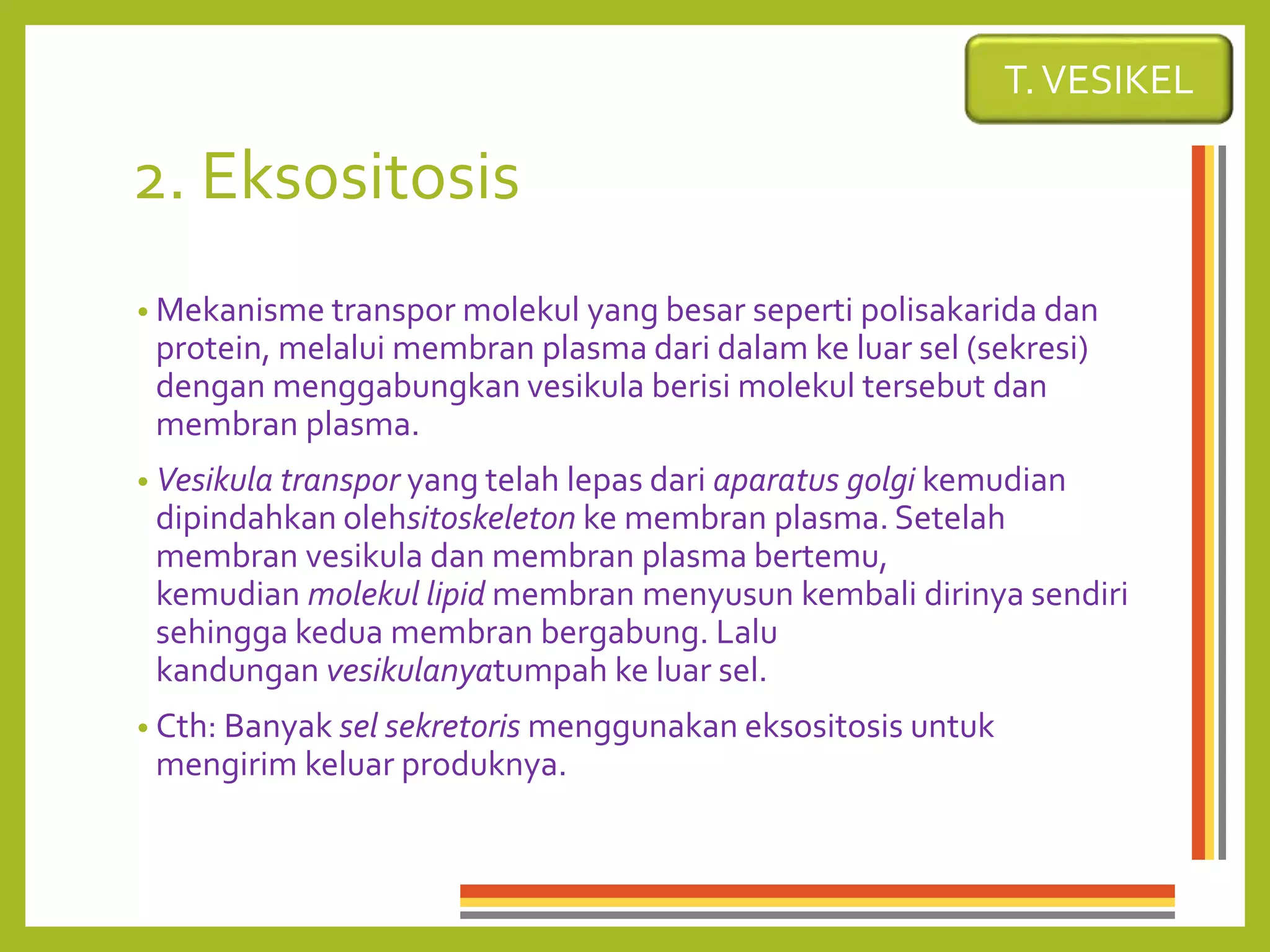 Transpor membran sel | PPTX