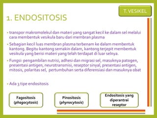 Transpor membran sel | PPTX