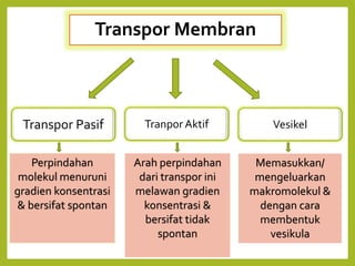 Transpor membran sel | PPTX