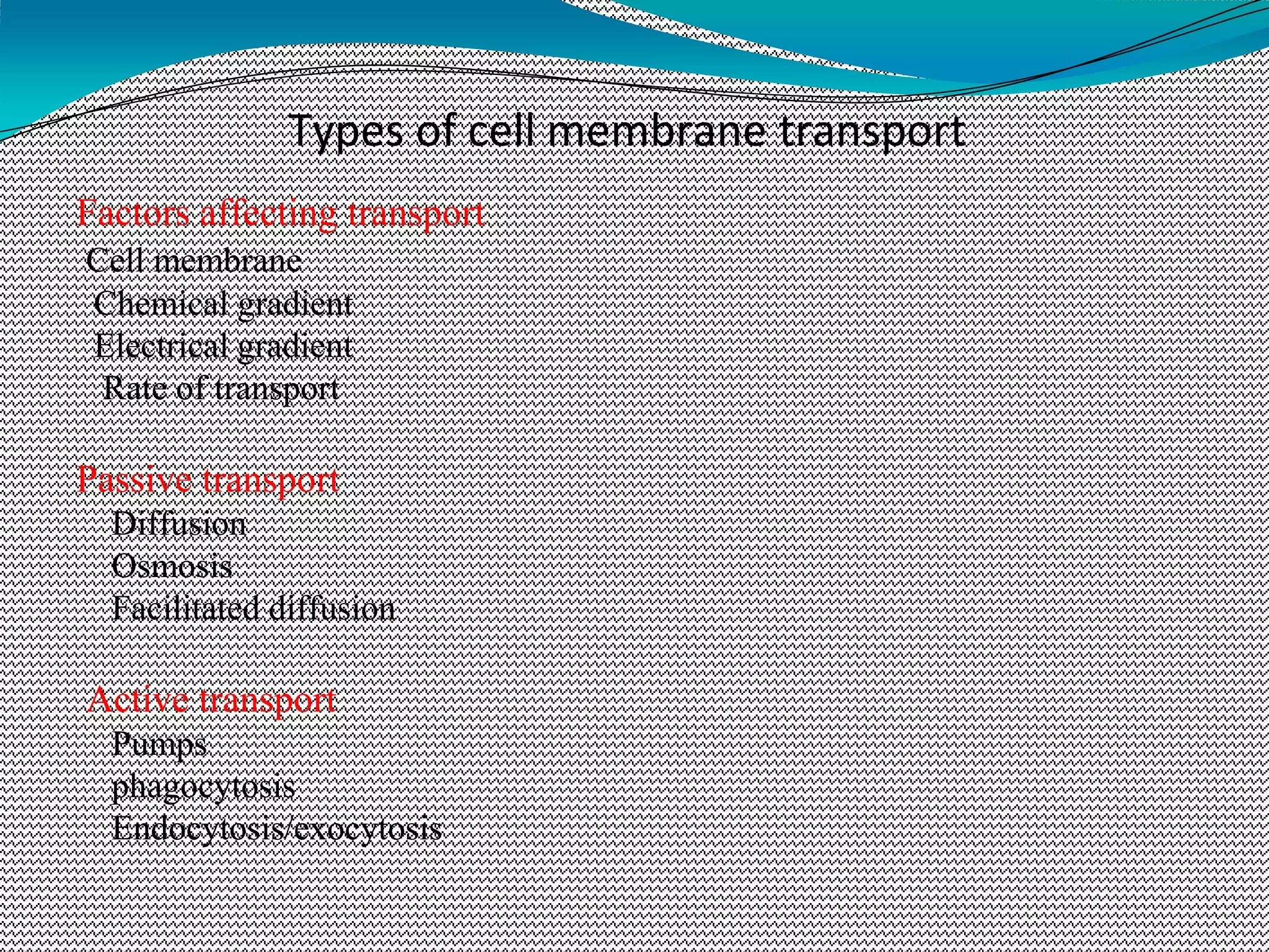 Transport.ppt