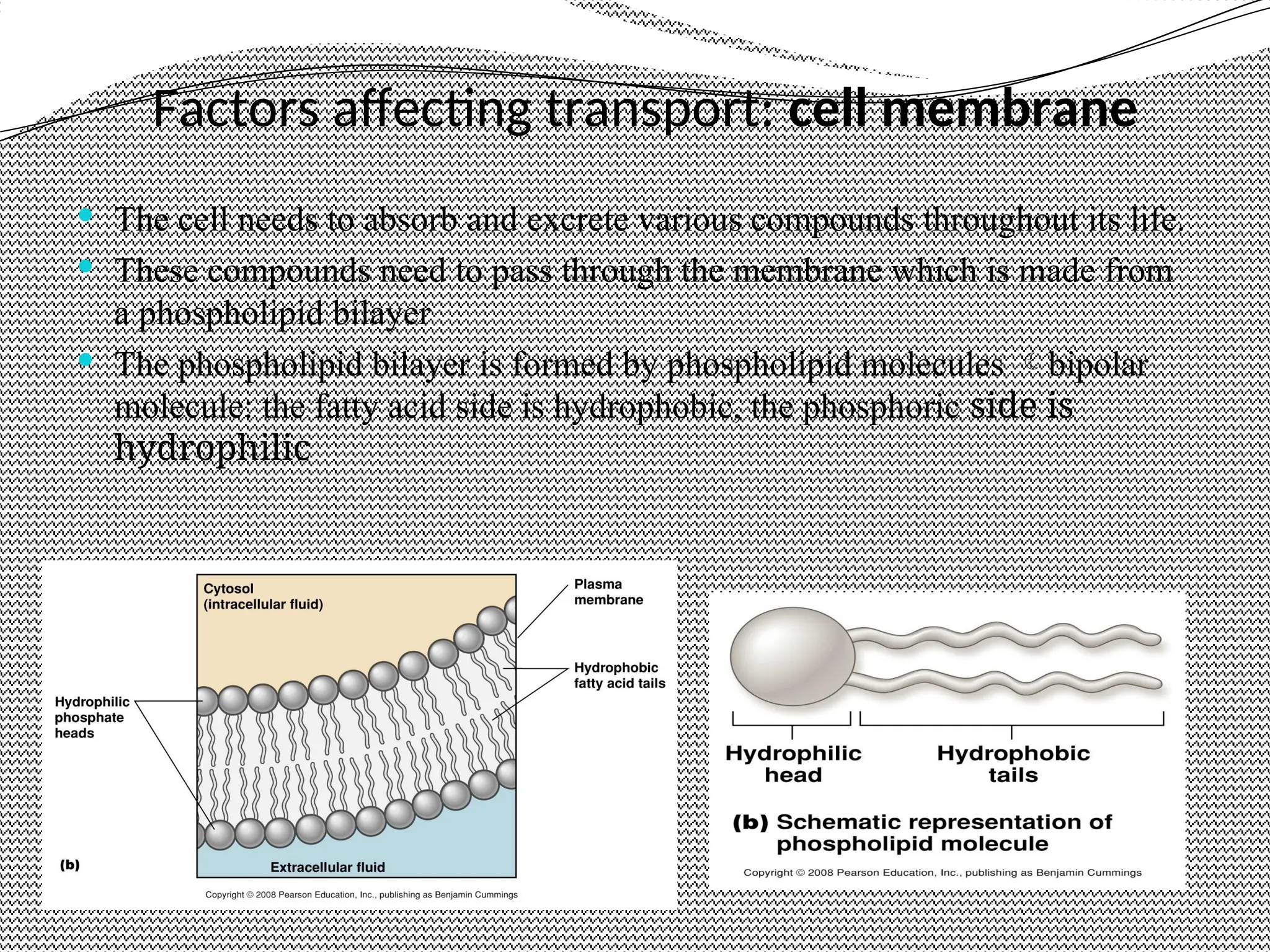 physiology of Transport mechanisms across cell membrane.ppt