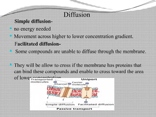physiology of Transport mechanisms across cell membrane.ppt