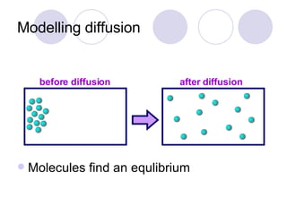 Transport Across Membranes | PPT