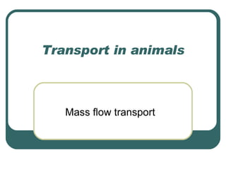 Transport In Animals | PPT