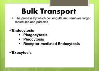 Transport Mechanism | PPTX