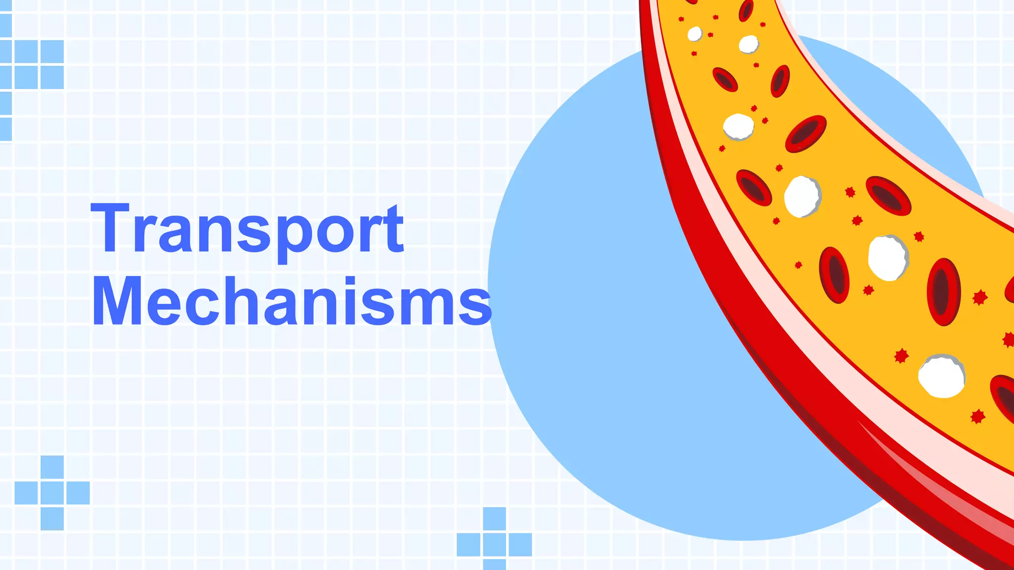 TRANSPORT-MECHANISMS-FOR-STUDENTS (1).pptx