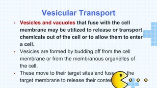 TRANSPORT-MECHANISMS-FOR-STUDENTS (1).pptx