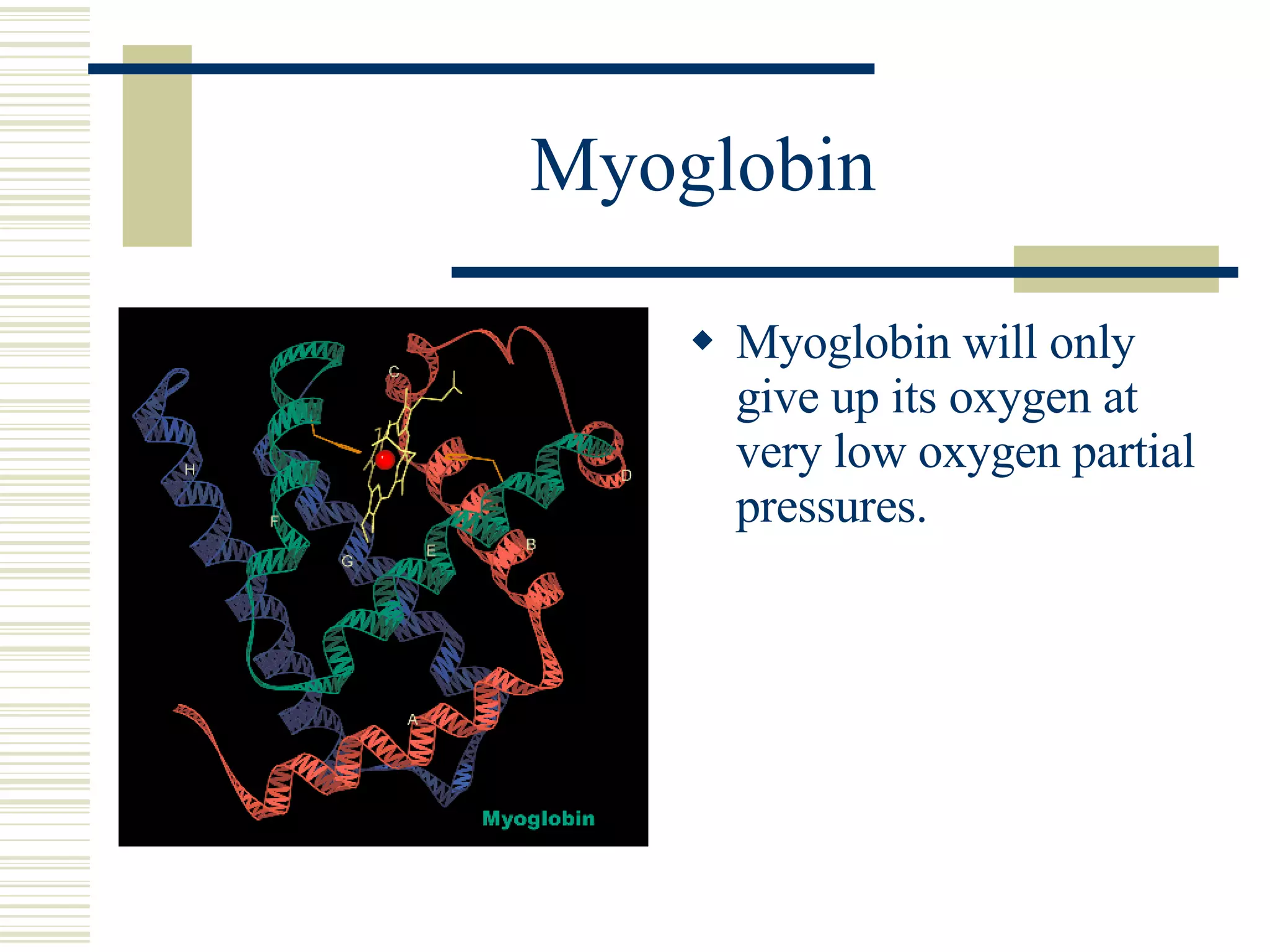 Transport Of Oxygen 2 | PPT
