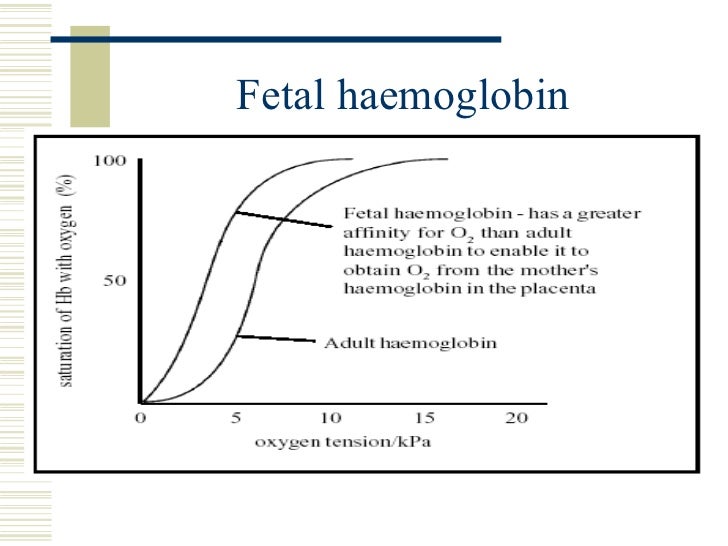 Transport Of Oxygen 2