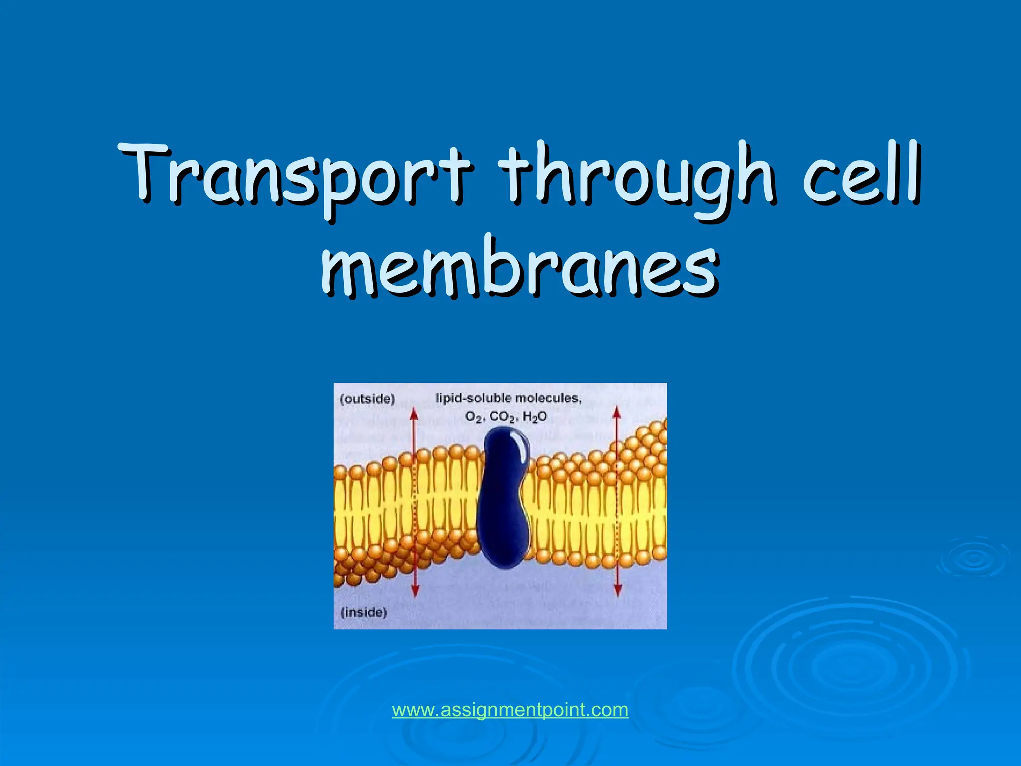 Transport-through-cell-membranes.ppt in pt | PPT