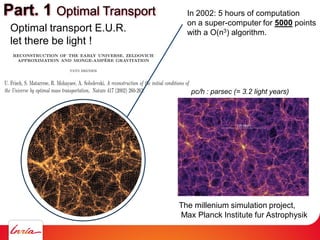 Optimal Transport for a Computer Programmer's Point of View | PDF
