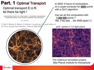 Optimal Transport for a Computer Programmer's Point of View | PDF