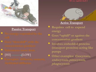 Physiology of Transport accross cell membranes.pptx
