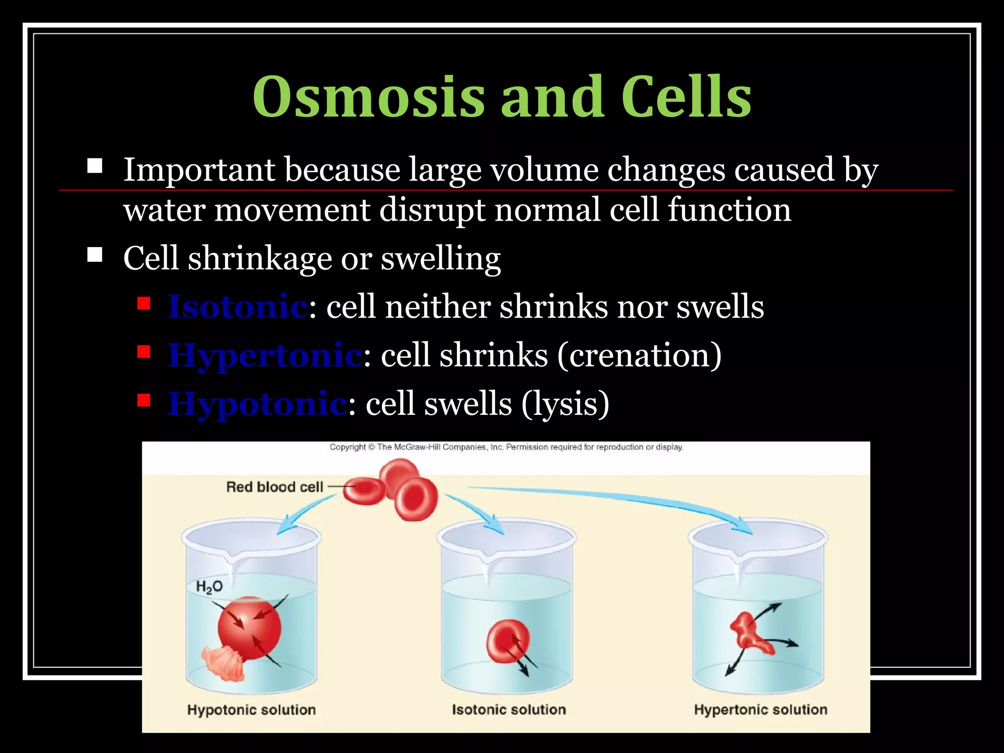 TRANSPORT ACROSS CELL MEMBRANE | PPT