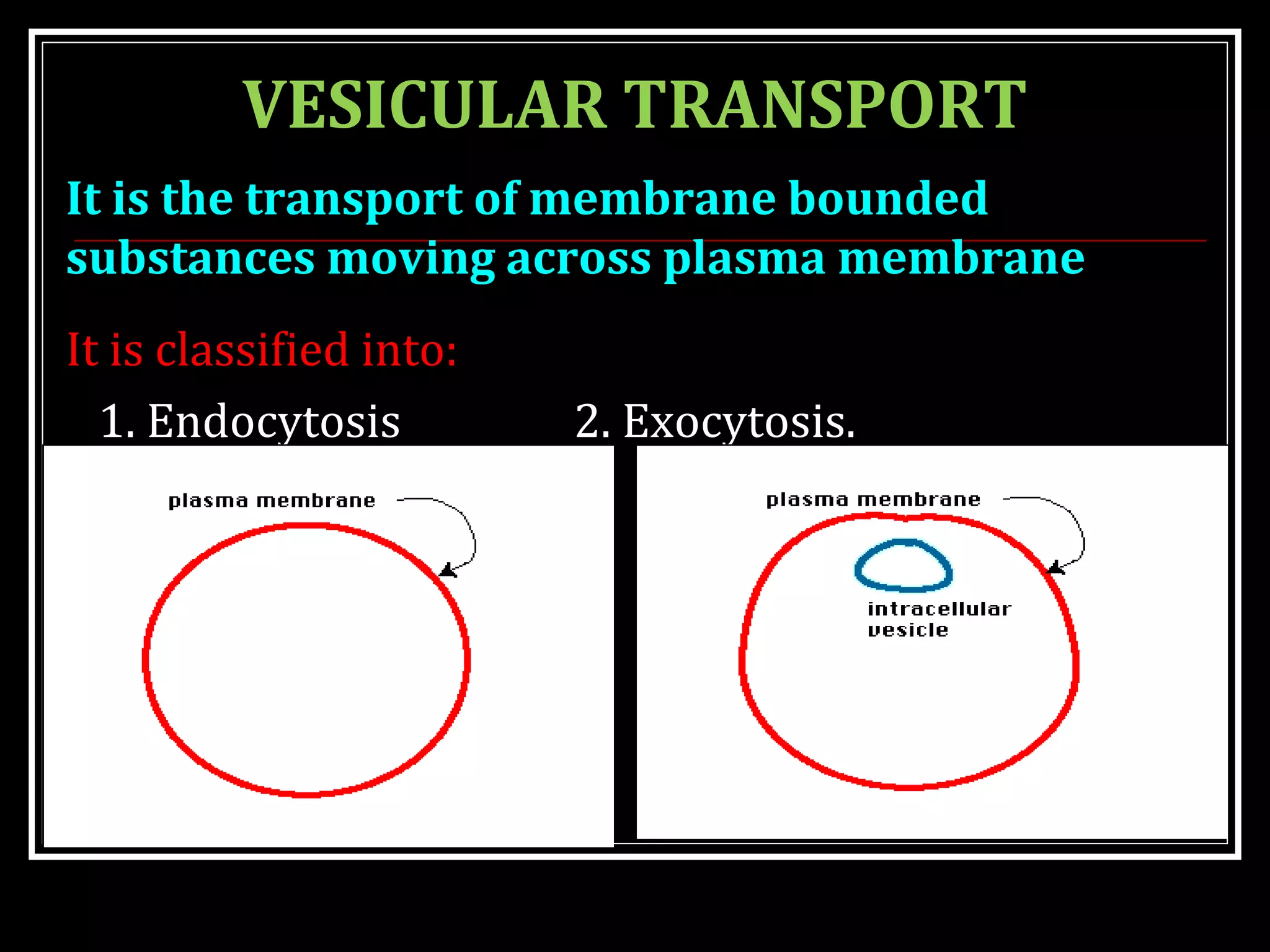 TRANSPORT ACROSS CELL MEMBRANE | PPT