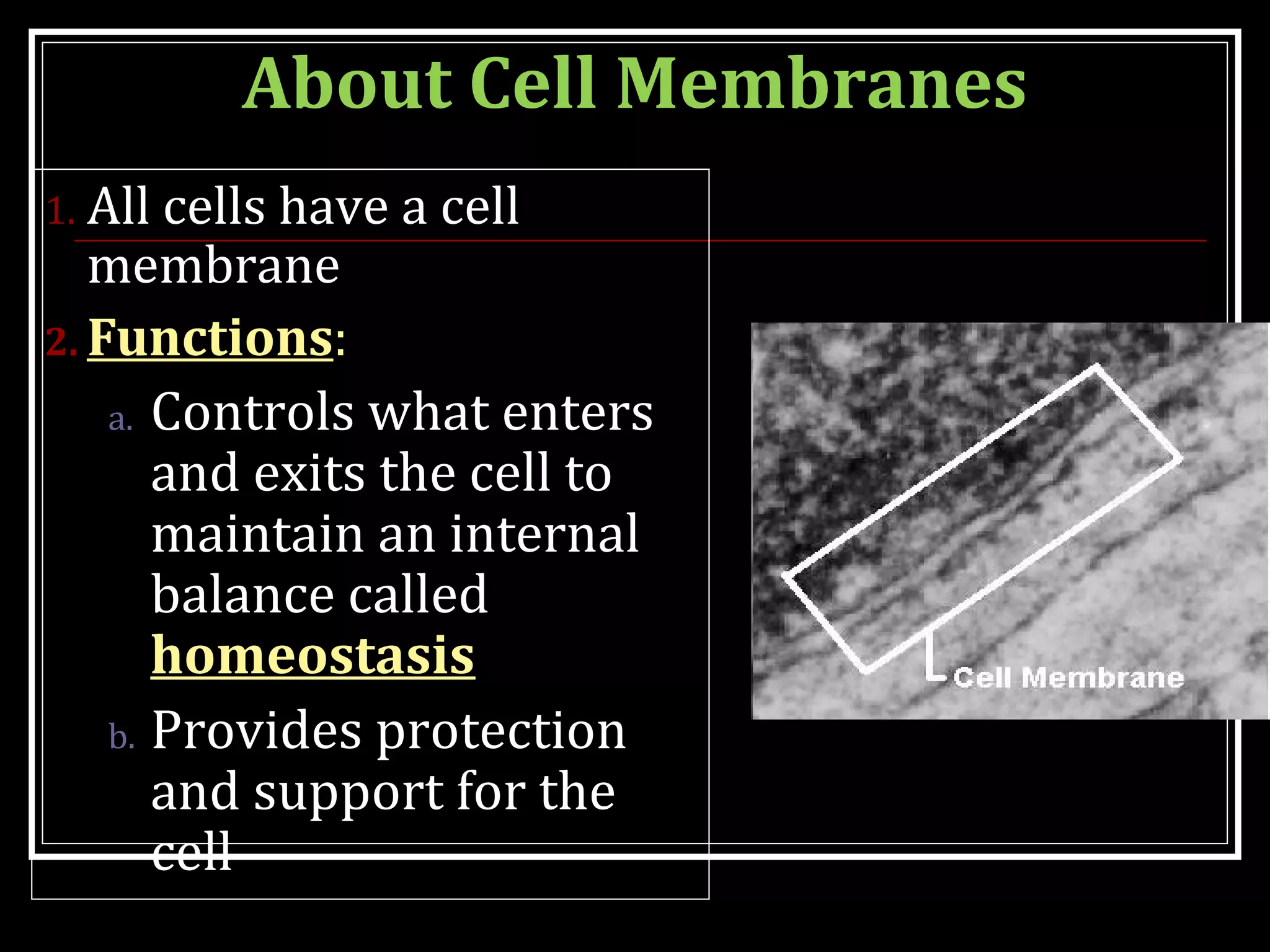 TRANSPORT ACROSS CELL MEMBRANE | PPT