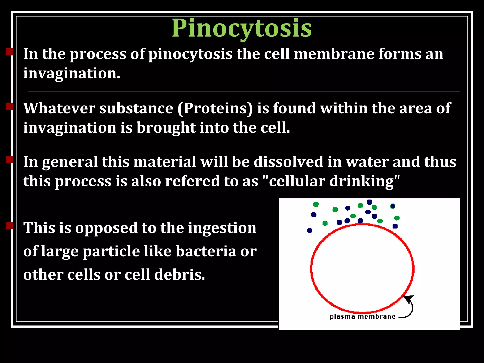 TRANSPORT ACROSS CELL MEMBRANE | PPT