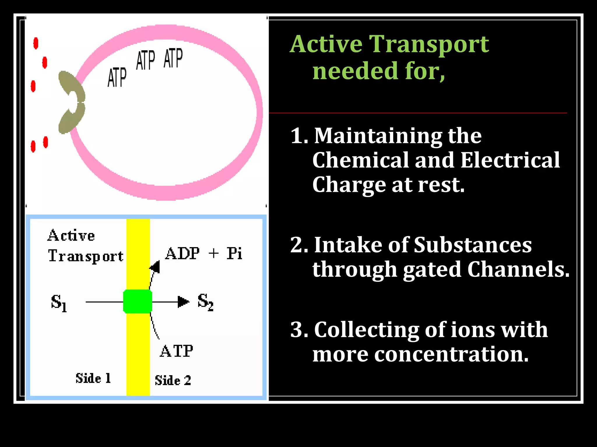 TRANSPORT ACROSS CELL MEMBRANE | PPT | Chemistry | Science