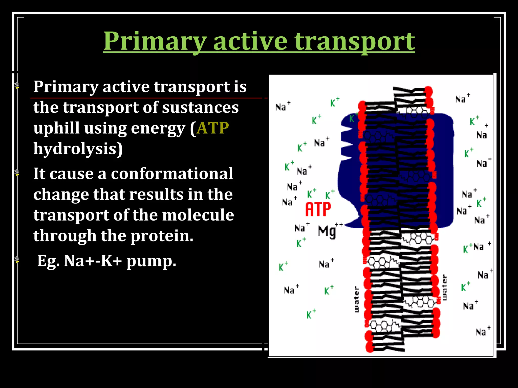 TRANSPORT ACROSS CELL MEMBRANE | PPT | Chemistry | Science