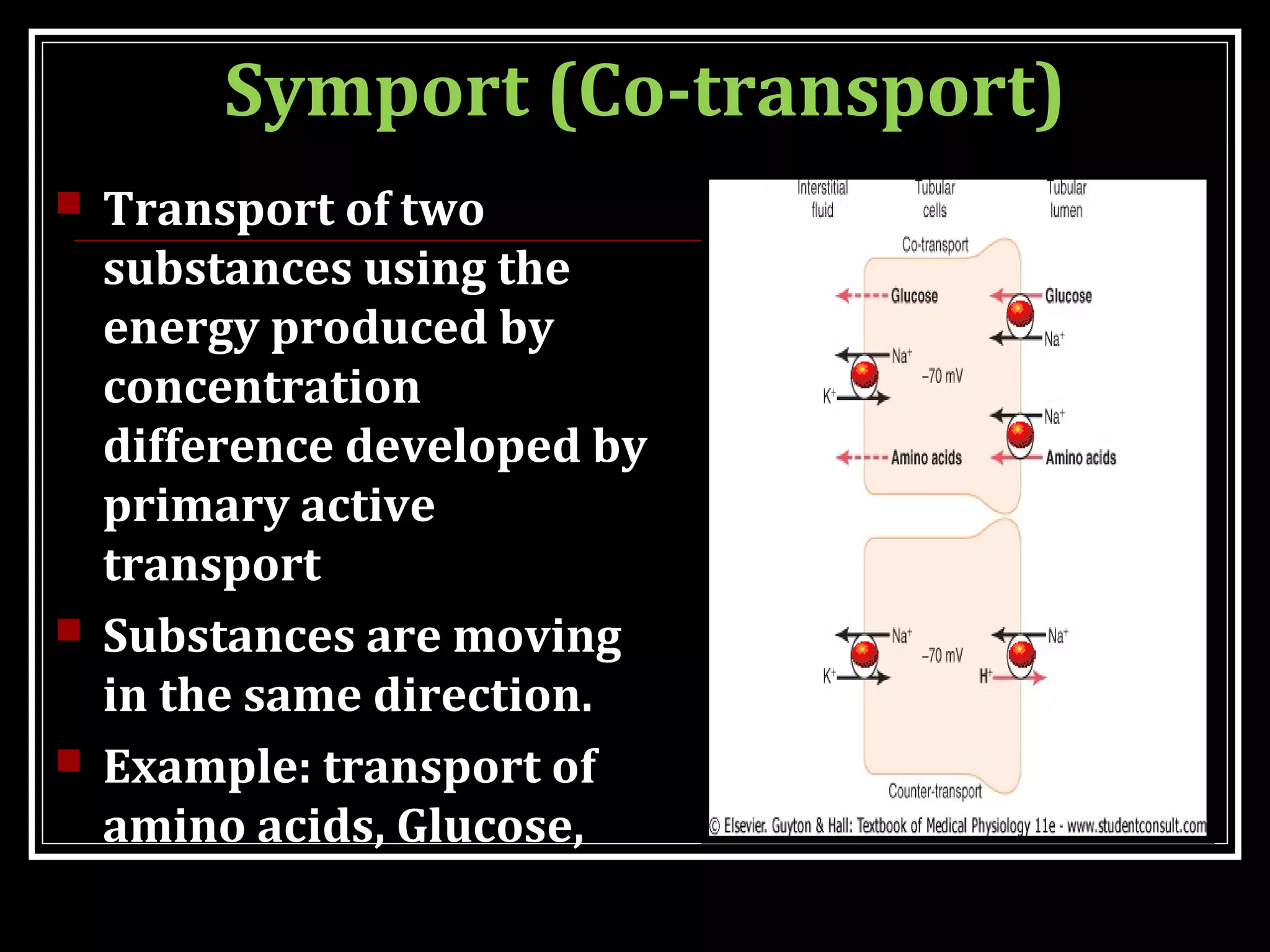 TRANSPORT ACROSS CELL MEMBRANE | PPT