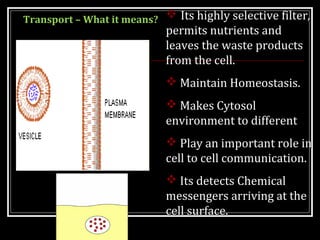 TRANSPORT ACROSS CELL MEMBRANE | PPT