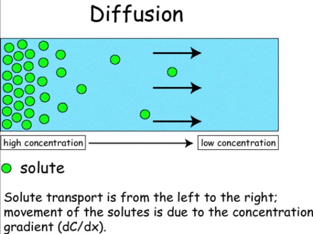 TRANSPORT ACROSS CELL MEMBRANE | PPT | Chemistry | Science