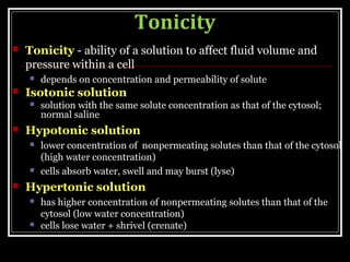 TRANSPORT ACROSS CELL MEMBRANE | PPT