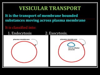TRANSPORT ACROSS CELL MEMBRANE | PPT