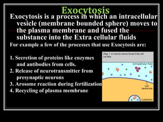 TRANSPORT ACROSS CELL MEMBRANE | PPT