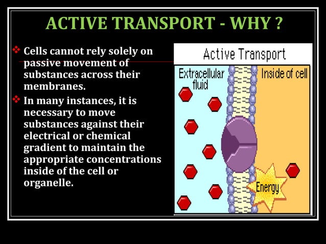 TRANSPORT ACROSS CELL MEMBRANE | PPT | Chemistry | Science