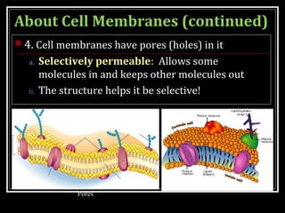 TRANSPORT ACROSS CELL MEMBRANE | PPT