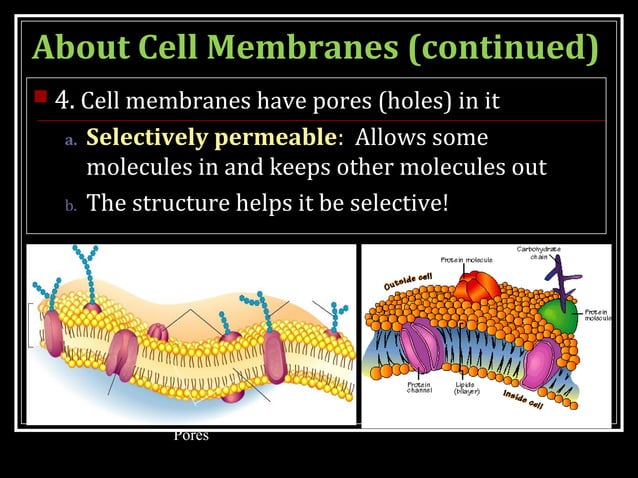 TRANSPORT ACROSS CELL MEMBRANE | PPT | Chemistry | Science