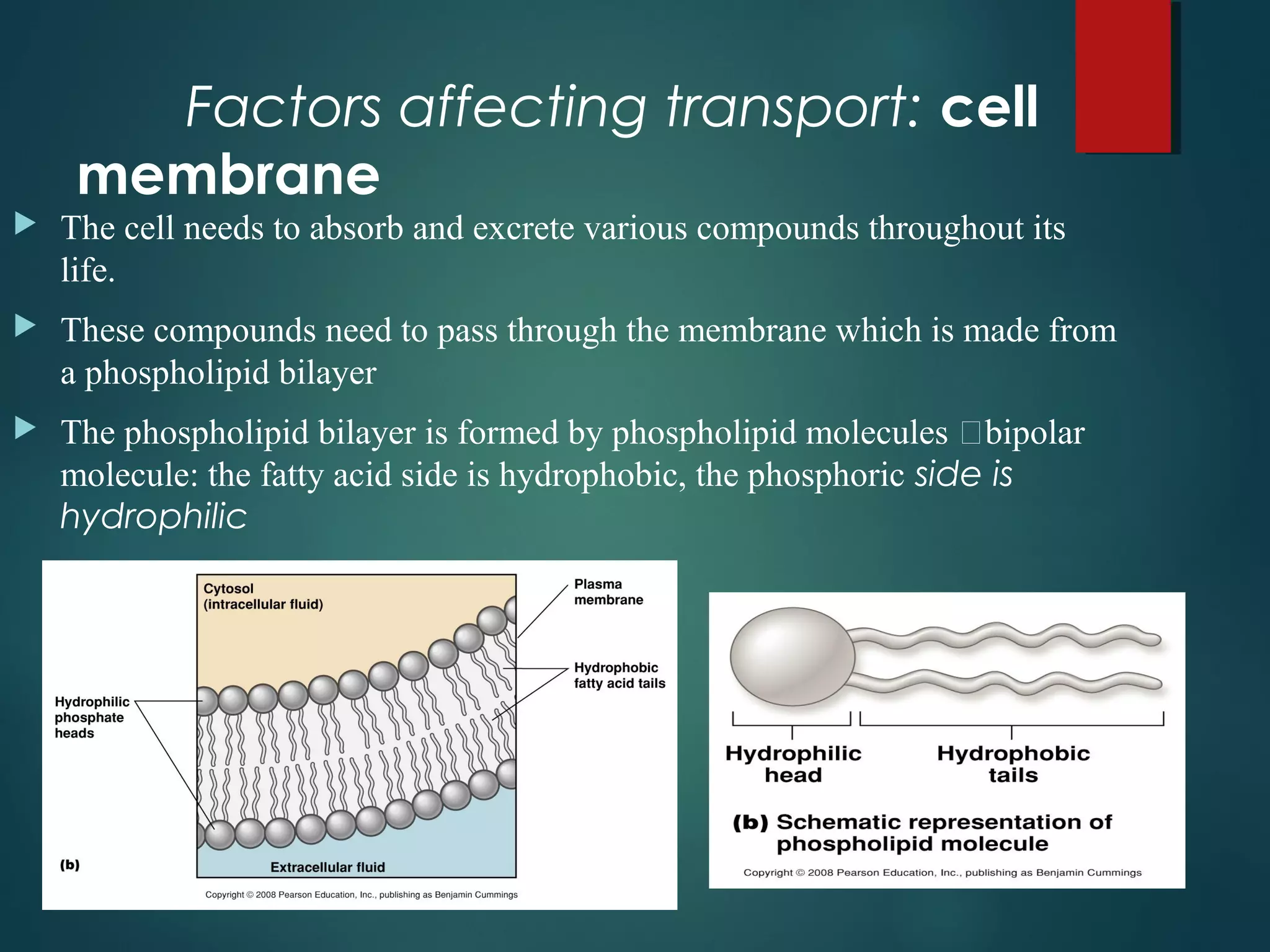 Transport across cell membrane | PPT