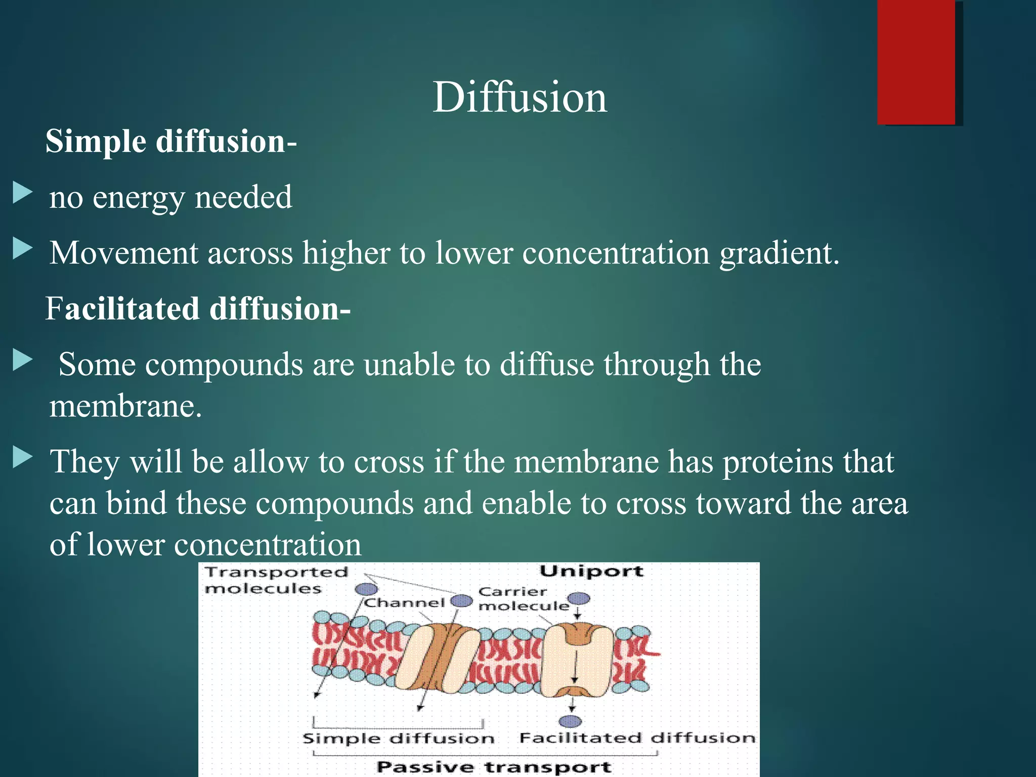 Transport across cell membrane | PPT