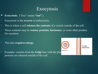 Transport across cell membrane | PPT