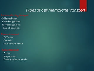 Transport across cell membrane | PPT