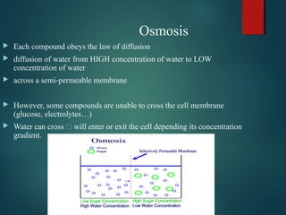 Transport across cell membrane | PPT