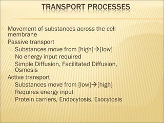 Transport of biomolecules across cell membrane | PPT