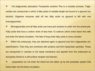 Transport of biomolecules across cell membrane | PPT