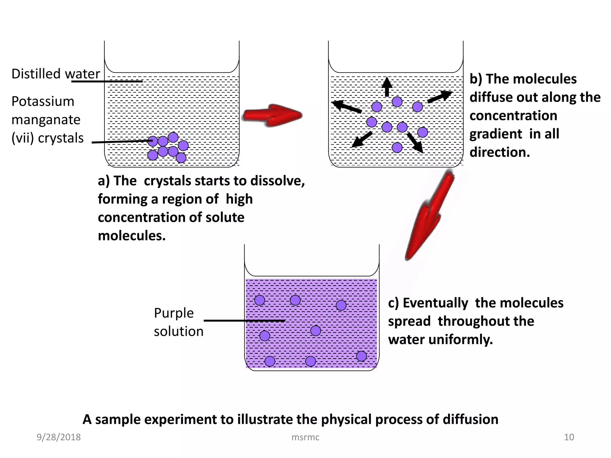 Transport across cell membrane | PPTX
