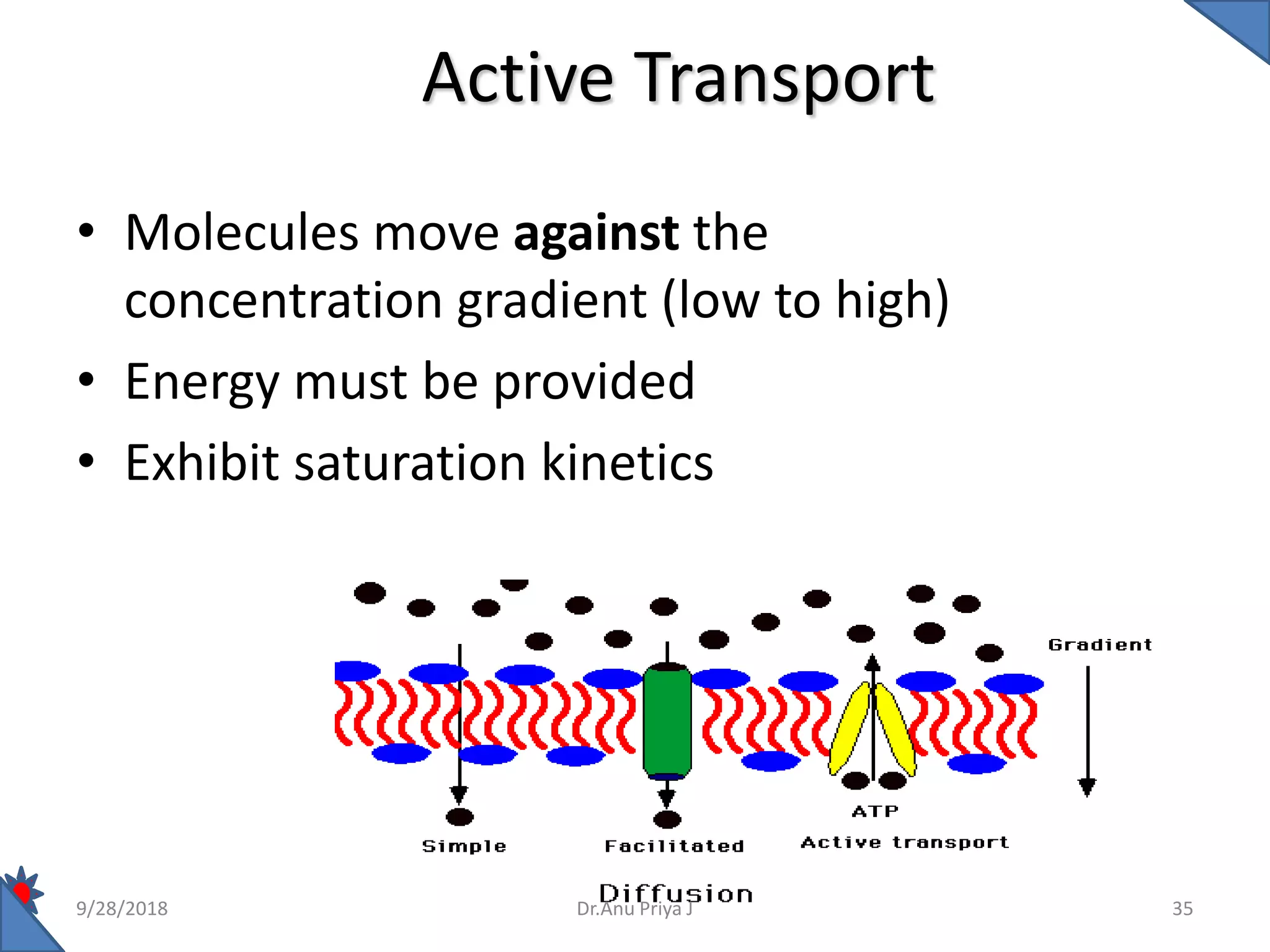 Transport across cell membrane | PPTX | Chemistry | Science