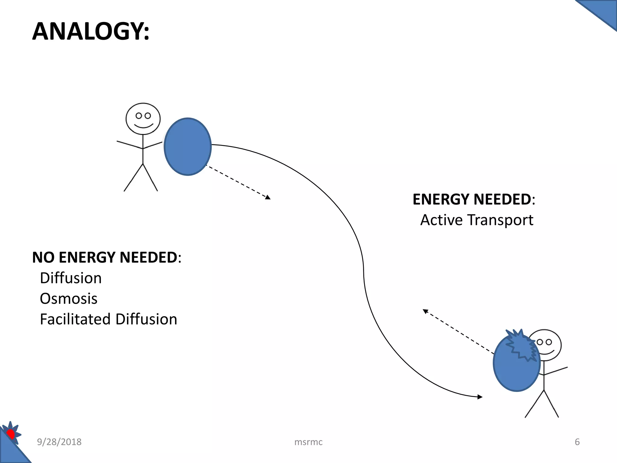 Transport across cell membrane | PPTX