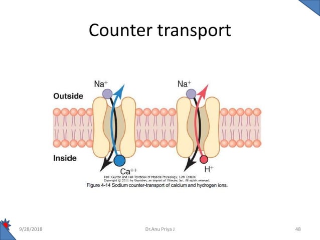 Transport across cell membrane | PPTX | Chemistry | Science
